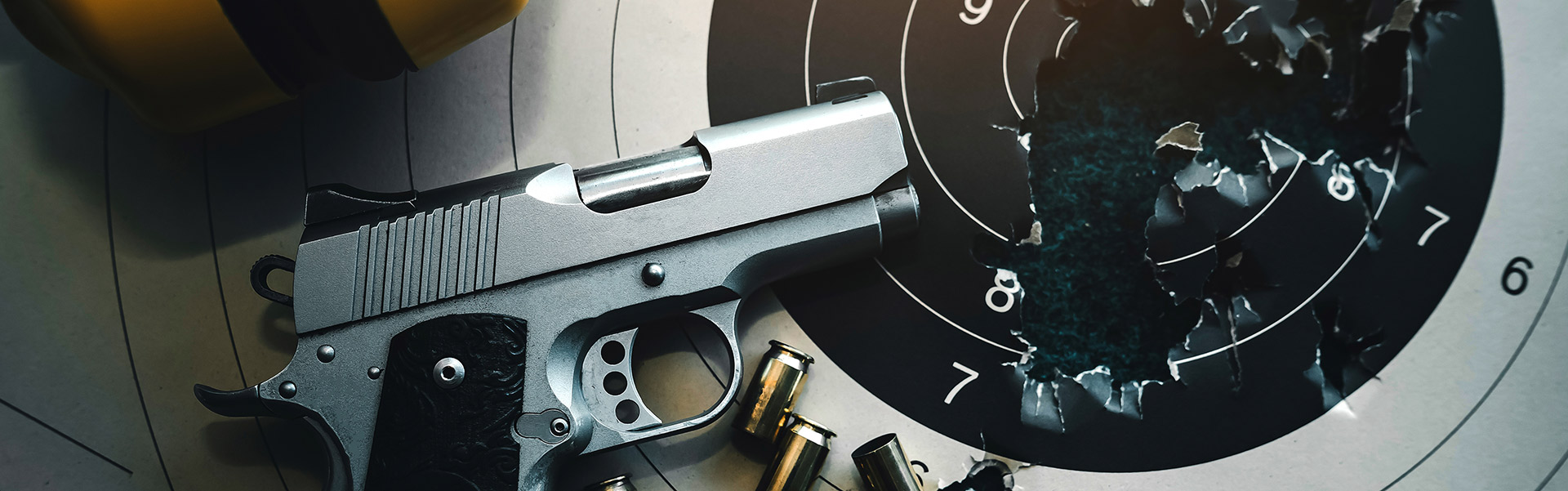 business consulting – Firearms Training